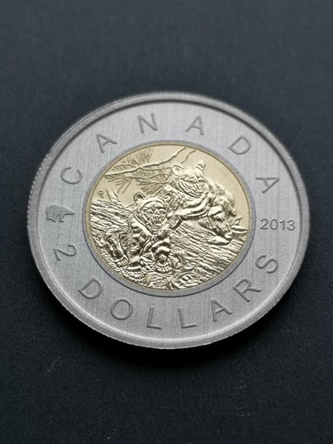 2$ CANADA TOONIE 2013 *** SPECIMEN *** BLACK BEAR CUBS *** | eBay