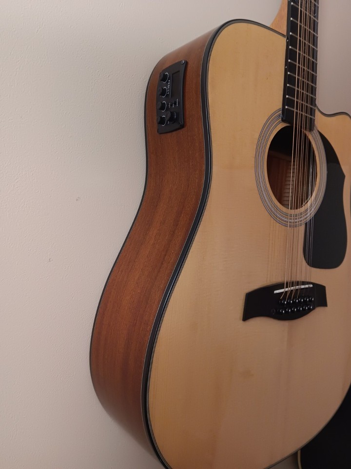 Fesley 12 string acoustic guitar | eBay