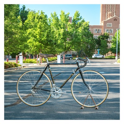 Vintage Bicycles - Vintage Puch - Nelo's Cycles