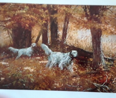 Robert K. Abbett, "TWO SETTERS"-Hunting Dog Art Print, SZ 11X9 | eBay