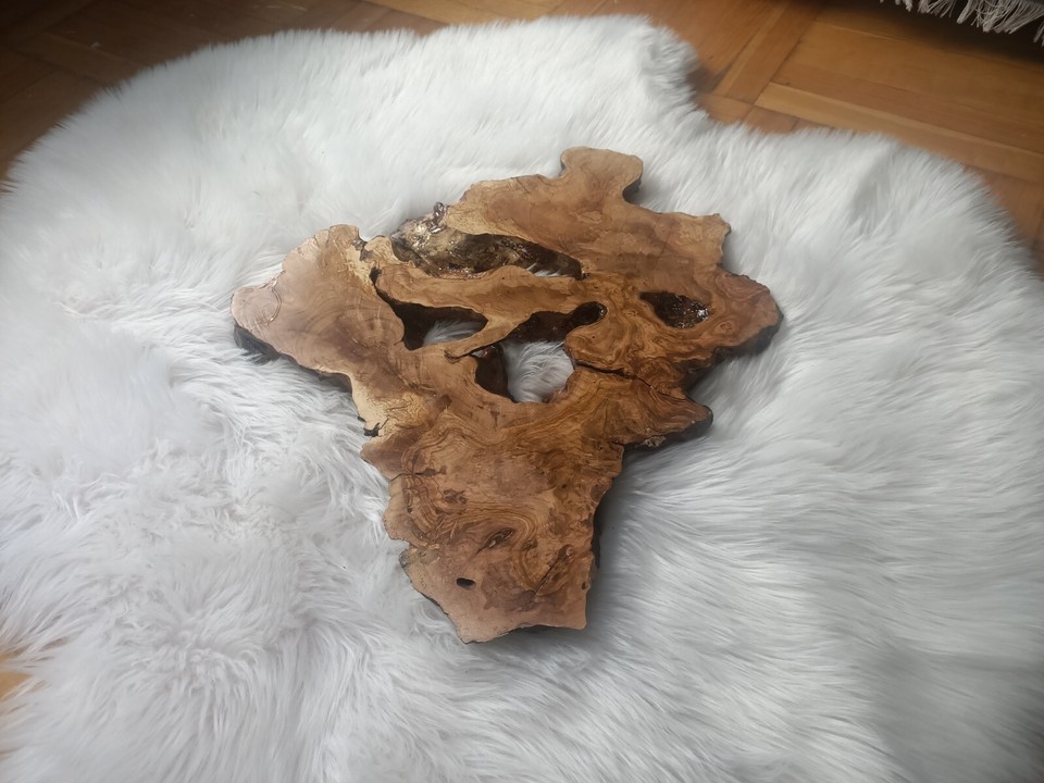 Live Edge Olive Root Slab for DIY and Epoxy Table, Ready to be Resin ...