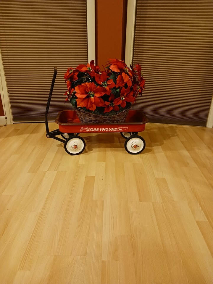 Vintage Hamilton Greyhound Red Wagon W/Poinsettia Or Martha Stewart ...