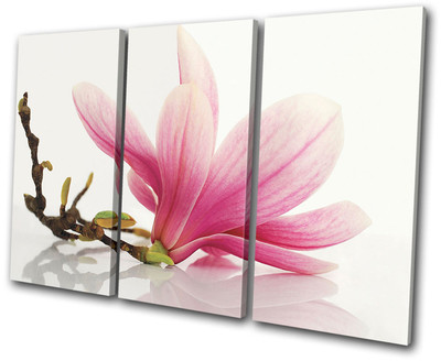 Floral Flowers TREBLE CANVAS WALL ART Picture Print VA | eBay UK