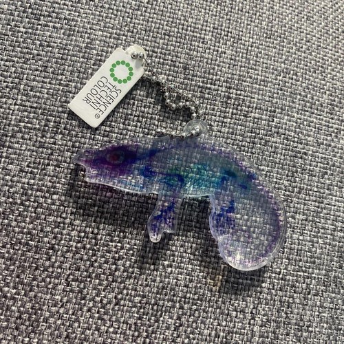 Gacha Gacha Key Chain New World Transparent Specimen Acrylic Mascot DX ...