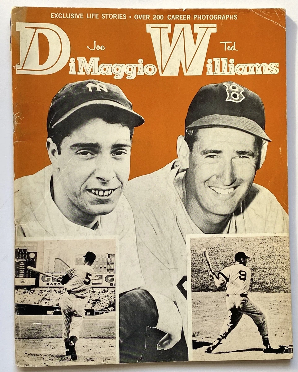 Ted Williams Baseball Card Stats