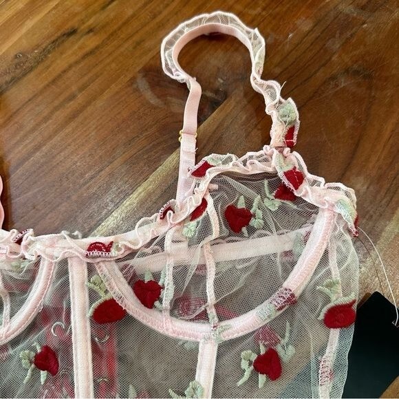NASTY GAL Rose Embroidered Corset Ruffle Lingerie Size US 6/UK 10 ...
