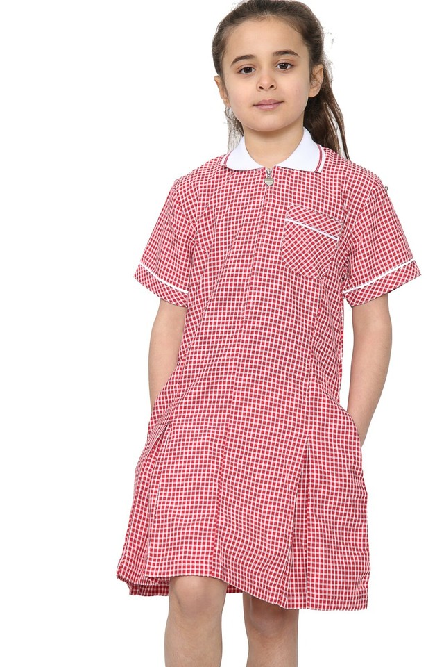 School Uniform Summer Dress Gingham Check Pleated & Matching Hair Band ...