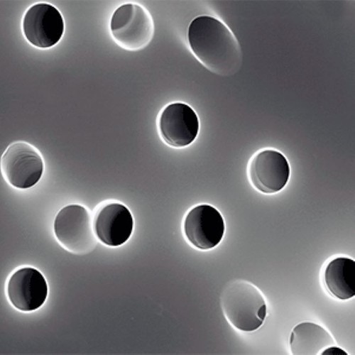 Polycarbonate Track Etched Membrane PCTE Filters; 0.4um; 47MM | eBay