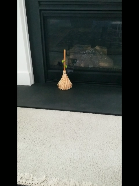 Previously Owned - Grandinroad Dancing Broom - See Video - Sensor ...
