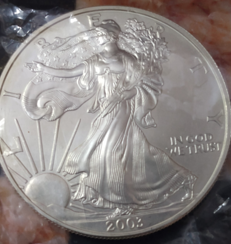 2003 American Eagle Silver Dollar In capsule uncirculated | eBay