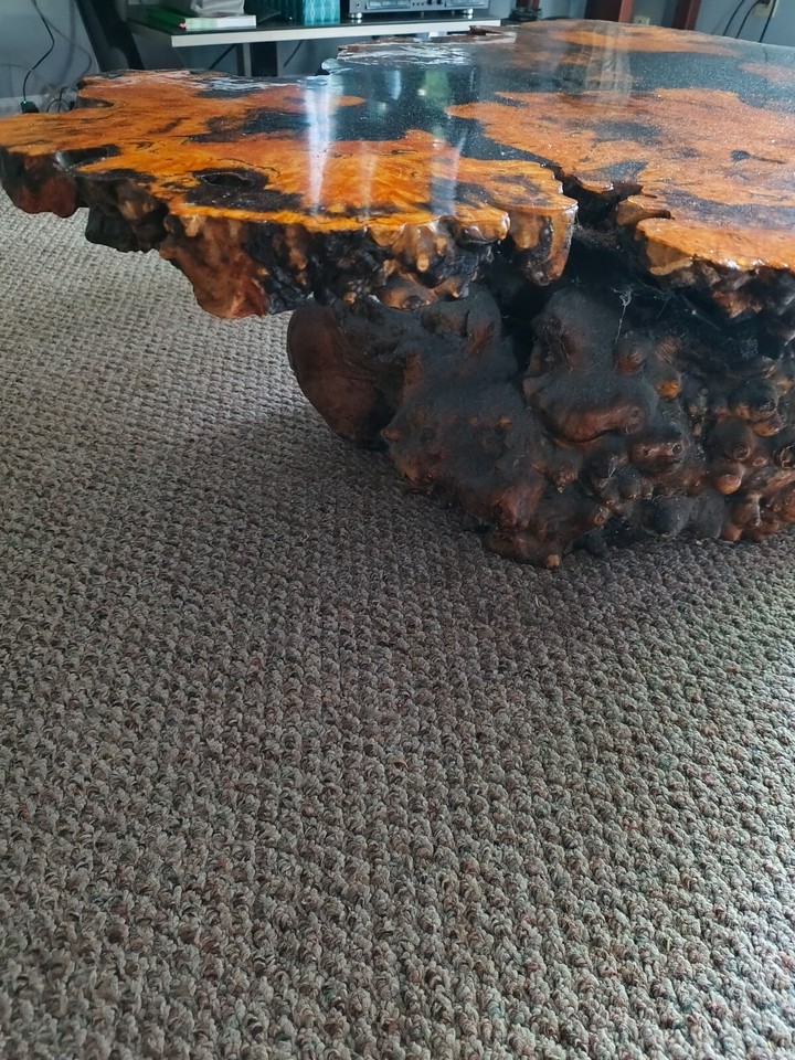 Buckeye burl coffee table from California 1970 | eBay