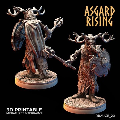 Asgard Rising | DRAUGR 20 – DRAUGR Barrow Guard 32mm | D&D TTRPG | eBay