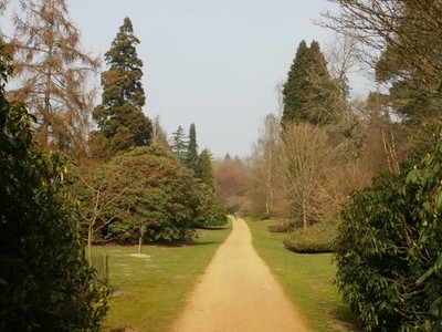 Photo A3 Valley Gardens, Windsor Great Park Egham Wick c2011 | eBay
