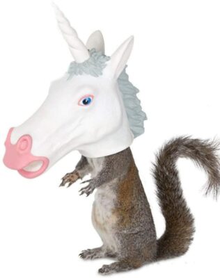 10'' UNICORN SQUIRREL FEEDER | eBay
