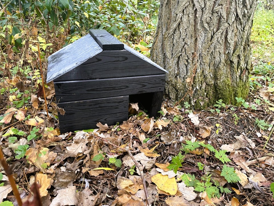 Hedgehog House Hibernation Nest Shelter Box Home Fully Slate Roof ...