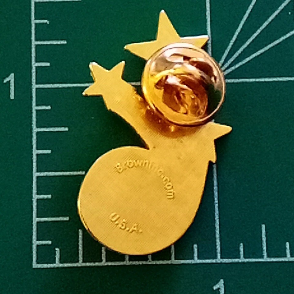 LVHHN Volunteer 30 Year Lapel Pin | eBay