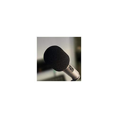 Rode WS2 Microphone Pop Filter/Wind Shield for NT1-A, NT2-A, NT1000 ...