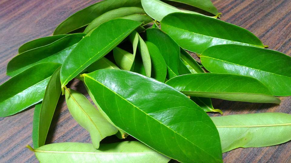 Graviola Leaf 100 Pure Nongmo Raw Soursop Leaf Powder Graviola Soursop