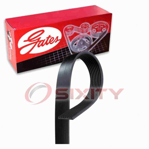Serpentine Belt-Fleetrunner Heavy Duty Micro-V Belt Gates K081264HD for ...