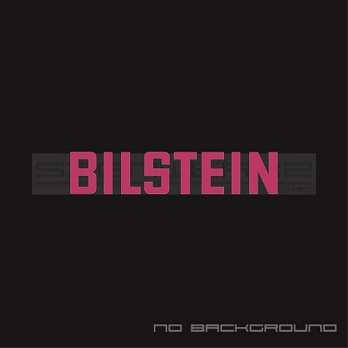 Bilstein Decal sticker logo Euro German shock absorbers mod racing Pair ...