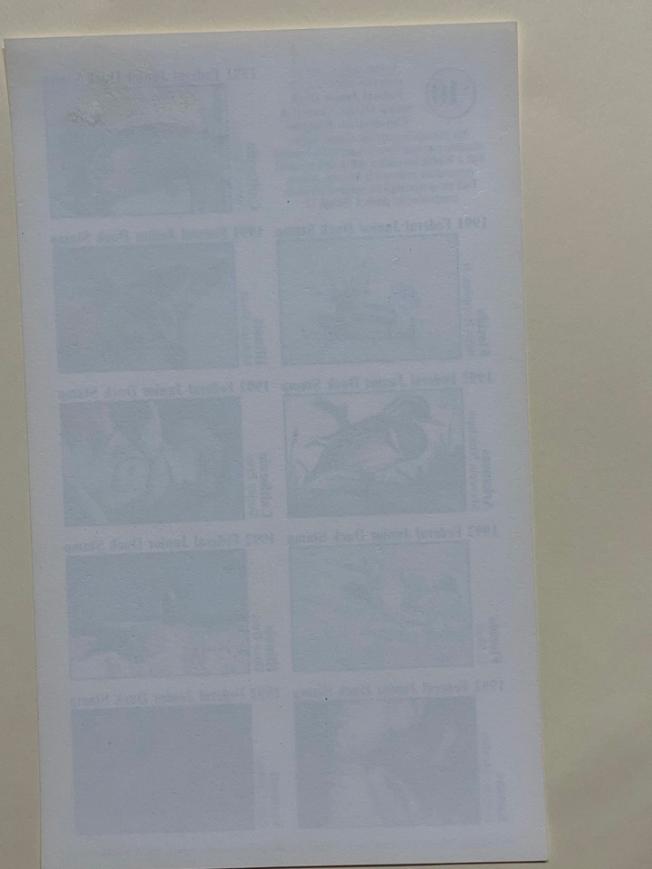 JDS-X - IMPERFORATE - First U.S 1992 Federal Junior Duck - 10 Known ...