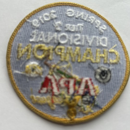 APA Pool Leagues Billiards Spring 2019 Champion Never Used Poolplayers ...