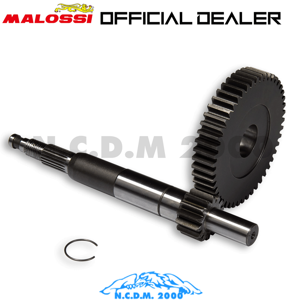 6711602 Primary Gears MALOSSI HTQ z 14 / 48 PIAGGIO TYPHOON 50 2T e2 ...
