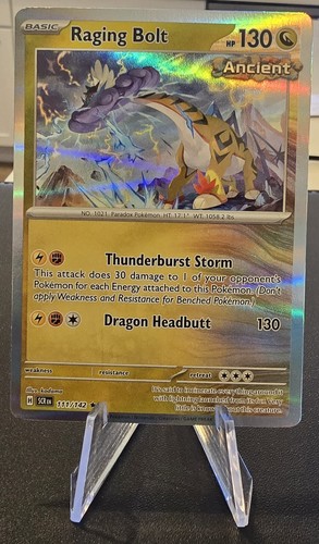 Pokemon - Raging Bolt - 111/142 - Holo Rare - Stellar Crown - NM/M ...