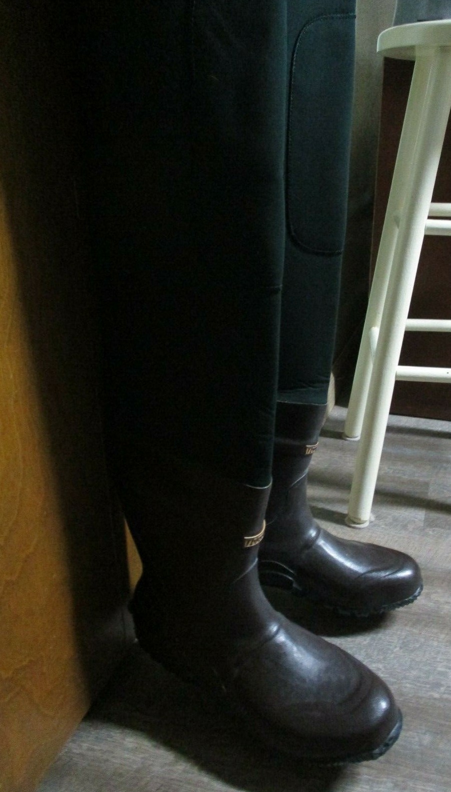 Frogg Toggs Wade Wear NEW, Insulated Steel Shank Boot size 12 | eBay