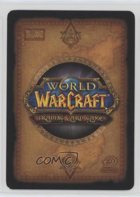 2006 World of Warcraft TCG: Heroes of Azeroth Frost Nova #55 | eBay UK