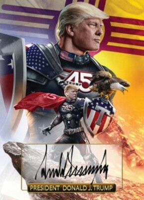 DONALD TRUMP CUSTOM ART CARD - CAPTAIN | eBay