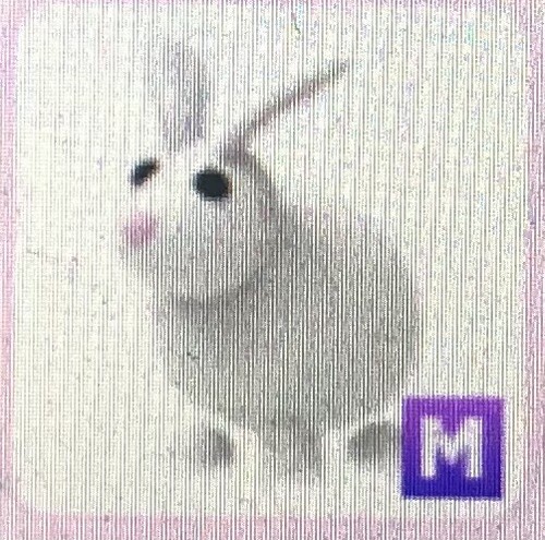 A Mega Neon Rabbit, A Pet | eBay