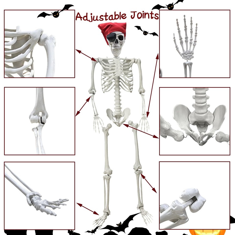 5.4Ft Halloween Skeleton - Life Size Full Body Realistic Human Bones ...