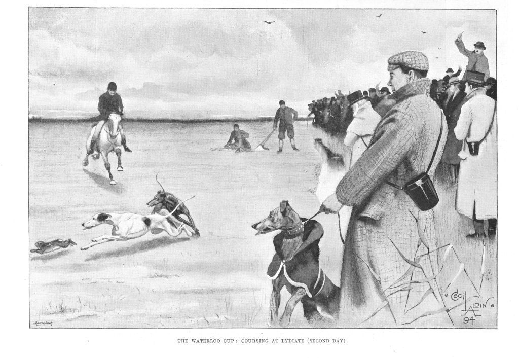Coursing at Lydiate (Second Day) - Waterloo Cup - Antique Print - 1894 ...