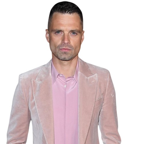 Sebastian Stan (Pink Suit) Half Body Buddy Cutout | eBay