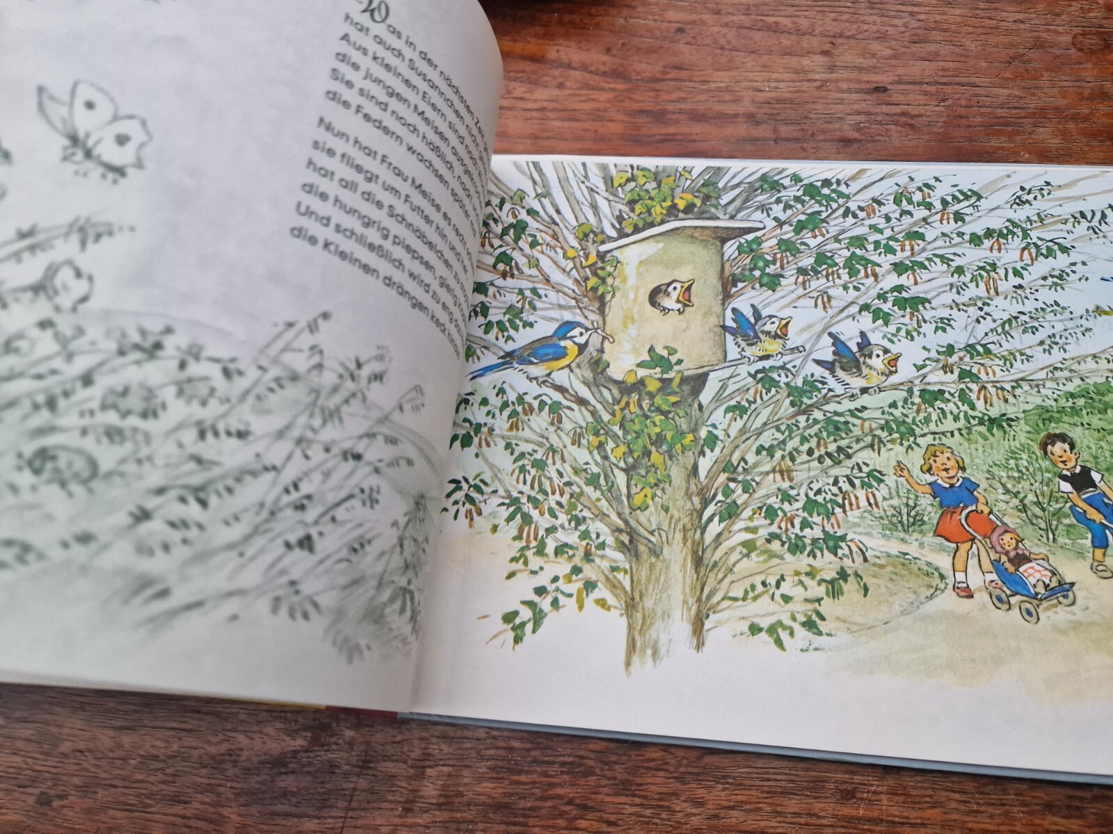 PIEPSI die kleine Meise Fritz Baumgarten Liselotte Burger Titania ...