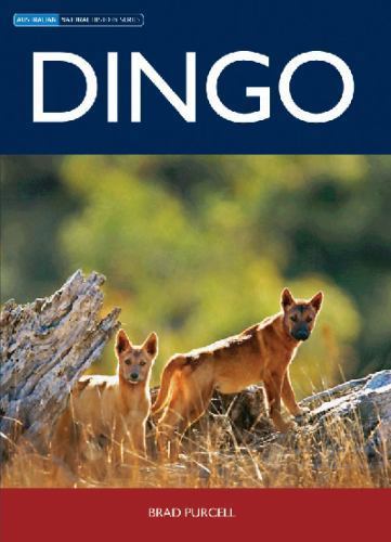 Dingo by Brad Purcell (2010, Trade Paperback) for sale online | eBay