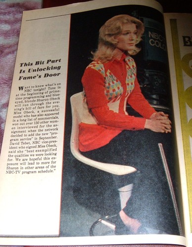 TV GUIDE/CAROL BURNETT/YOUNG & THE RESTLESS/SHARON OBECK/BRENDA DICKSON ...