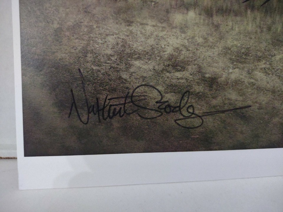 Nathan Szerdy SIGNED Art Print Stitch Toothless Disney How to Train ...