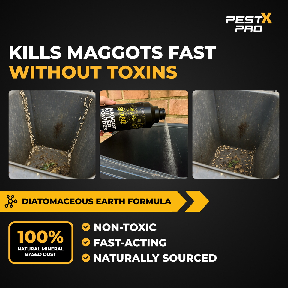 Pest X Pro Maggot Killer Dust 250g Wheelie Bins Eggs Larvae Flies Pest ...