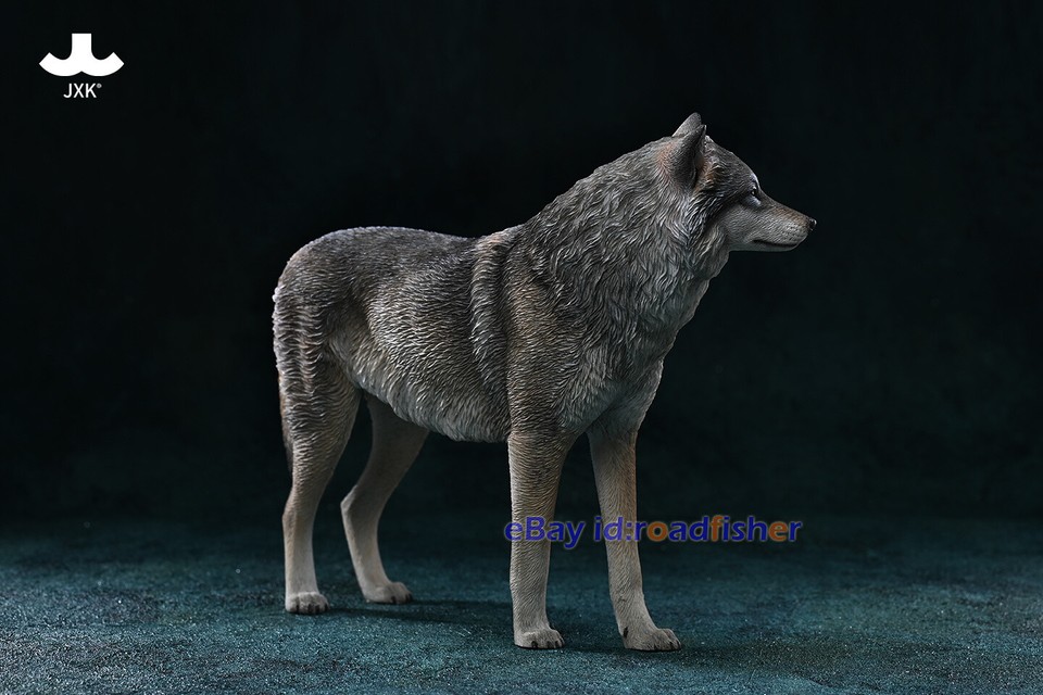 JXK 1/6 Arctic Wolf Model Canis Lupus Arctos Figure Wild Animal Decor ...