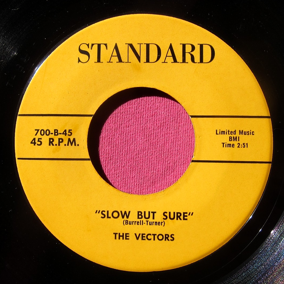 THE VECTORS - One Day / Slow but Sure - super clean 45 rpm - Standard ...