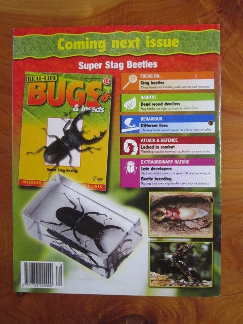 MAGAZINE REAL-LIFE BUGS & INSECTS NUMBER 12 GREAT **** MUST SEE | eBay