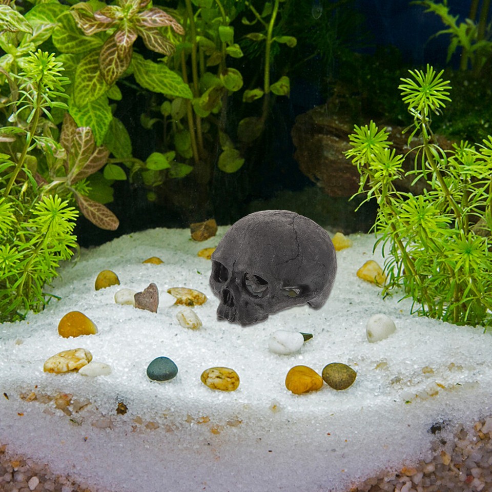 Fish Tank Skull Decorations Snake Hides Skeleton Aquarium Toy Animal | eBay