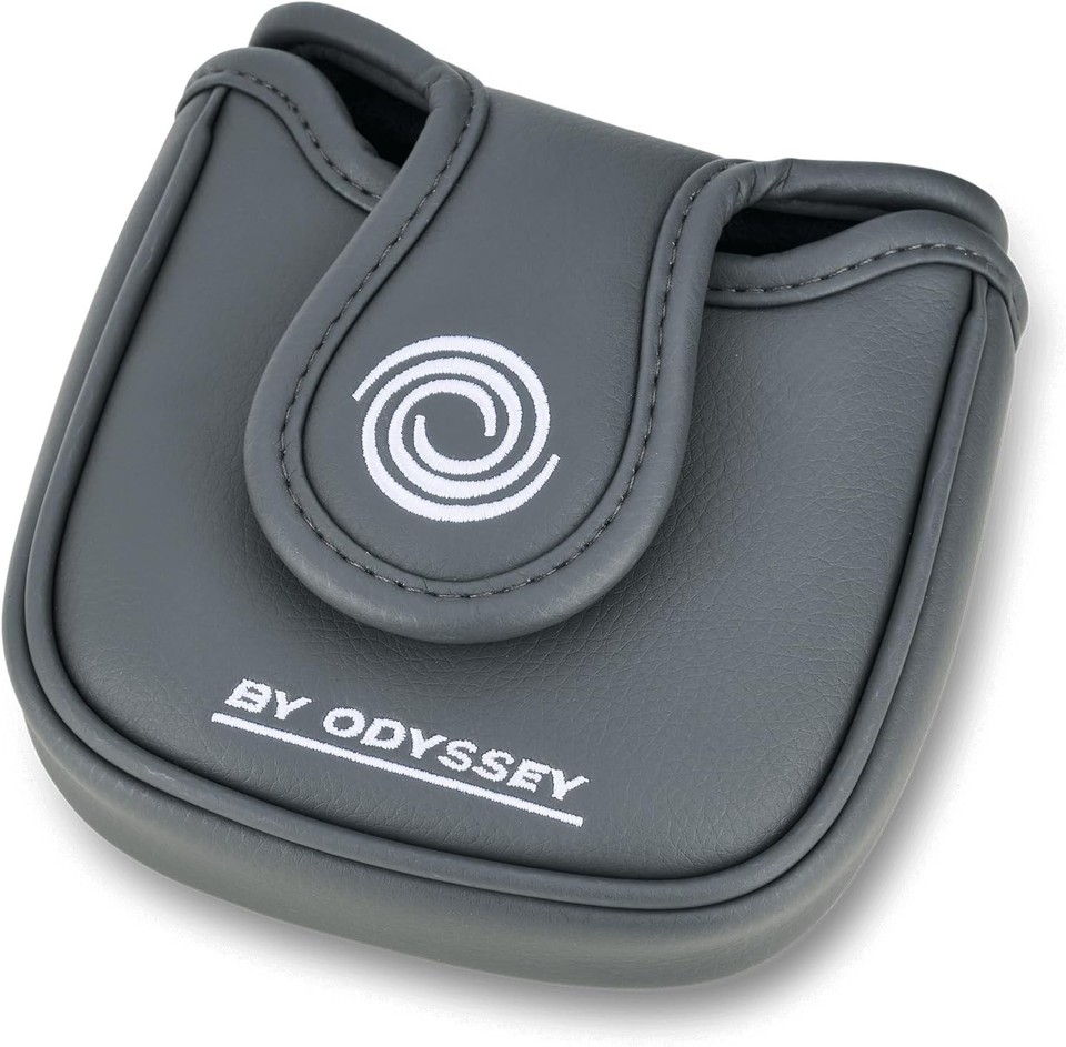 Odyssey Golf DFX 2025 Putter, LH, 34", Ten Head, Slant Neck, Oversized ...