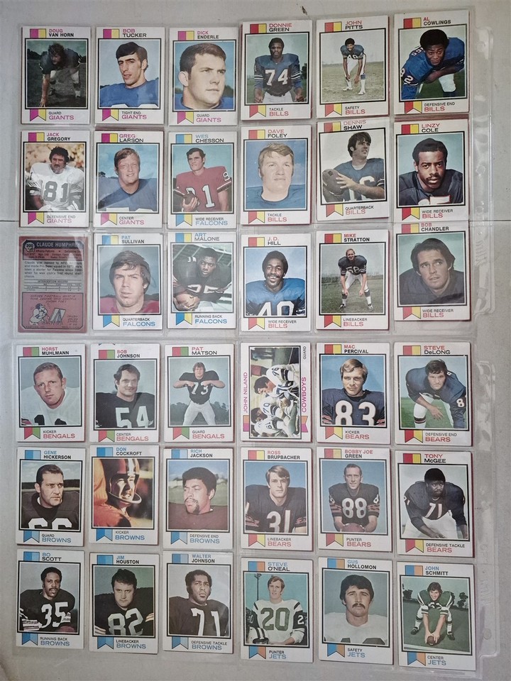 #1973 TOPPS FOOTBALL CARDS LOT w 201 CARDS IN PAGE SLEEVES LOT#T-17 | eBay