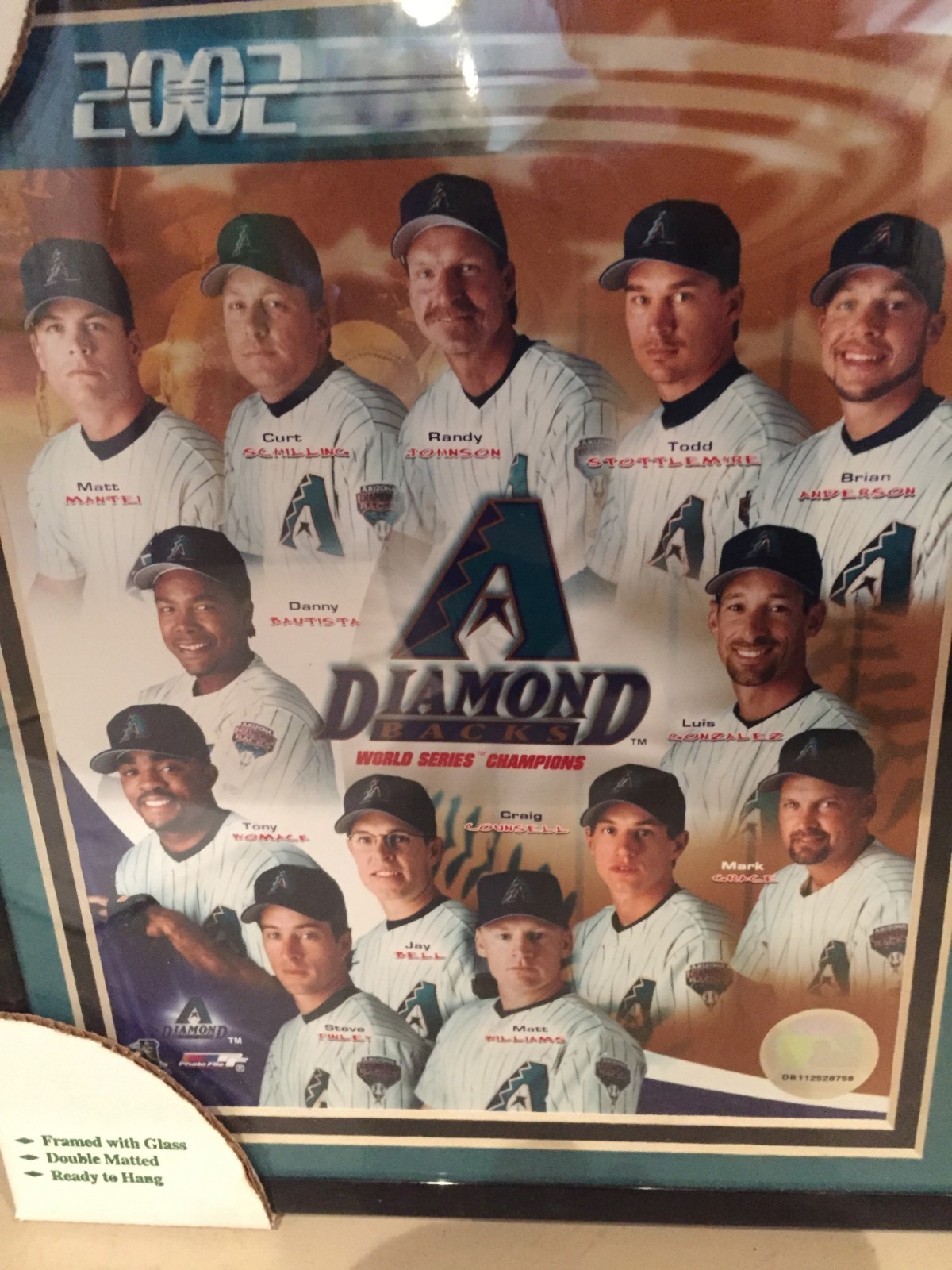 Arizona Diamondbacks team photograph 2002 National League Western ...