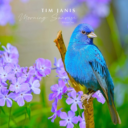 Tim Janis Morning Sunrise Volume One - Relaxing Music CD: Traditional ...