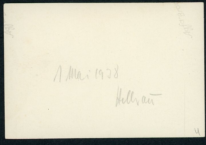 DAF Members Honor Der Dolf w/ Band, Banners & More German WW2 Photo | eBay