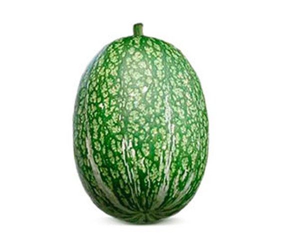Shark Fin Melon - Spaghetti squash/Cucurbita ficifolia/Chilcayote - 20 ...